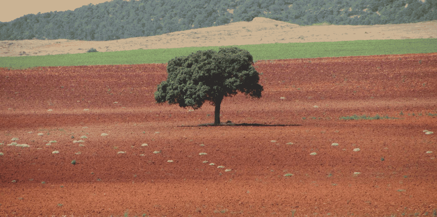 ᐈ ¿Qué es el barbecho y por qué es importante para la agricultura ...